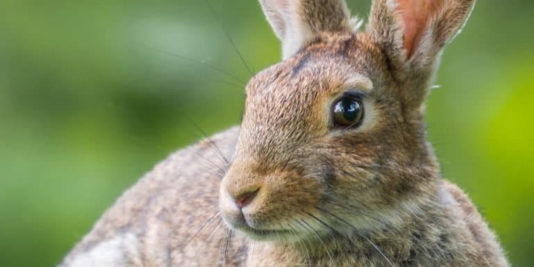 How To Manage Social Media Accounts With Just One Tool