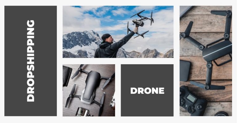 Why Is Dropshipping Drones So Profitable Nowadays?
