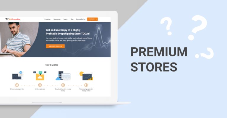 Premium Ready Stores: Quick-To-Launch Dropshipping Business