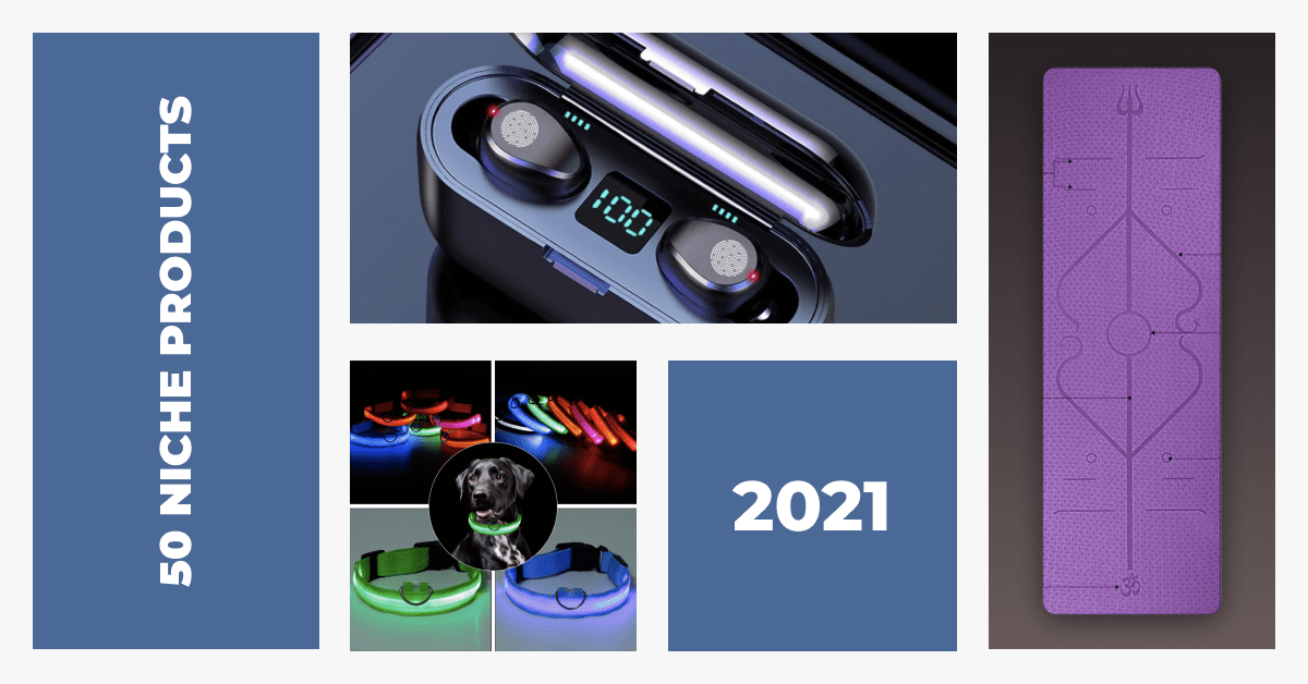 The Best 50 Niche Products To Sell Online In 2021